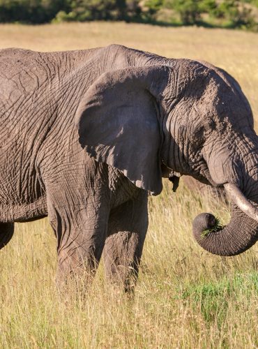 Maurice seychelles, Discover a whole new world